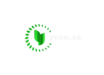 Onlayn TV: telekanallarni sifatli onlayn tomosha qilish, jonli efir